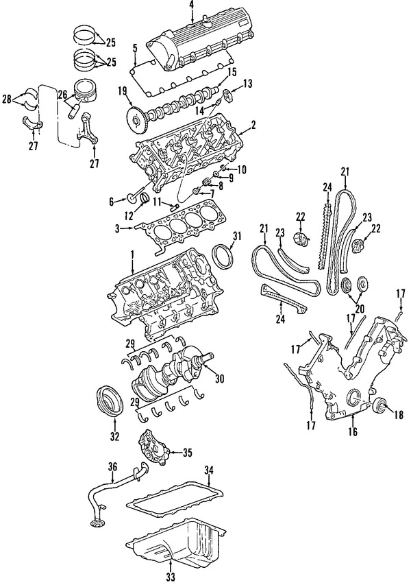 Tensor de la Cadena del Tiempo Original para Lincoln Navigator Lincoln ...