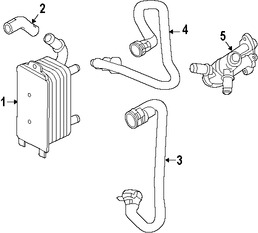 Termostato de Enfriador de Aceite de Transmisión - Repuestos y ...